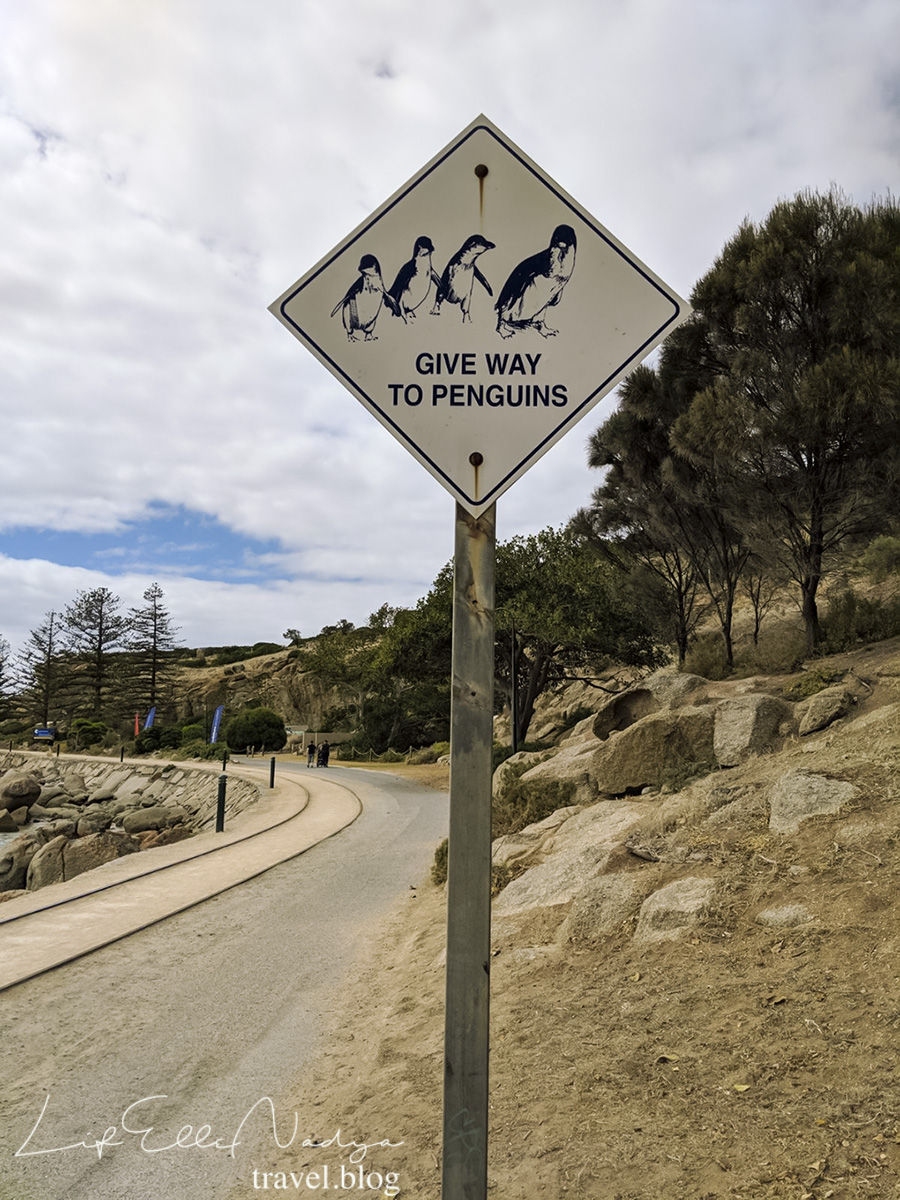 Visit Victor Harbor: "Give Way to Penguins" The Granite Island